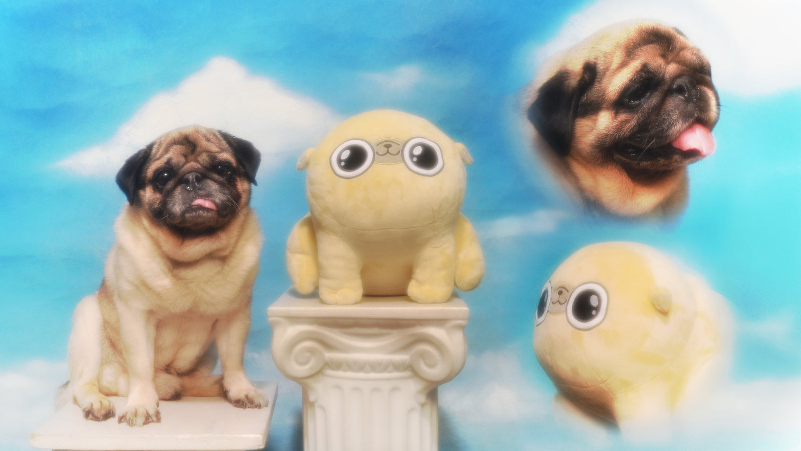 Mochi the Pug and Gemma Gene